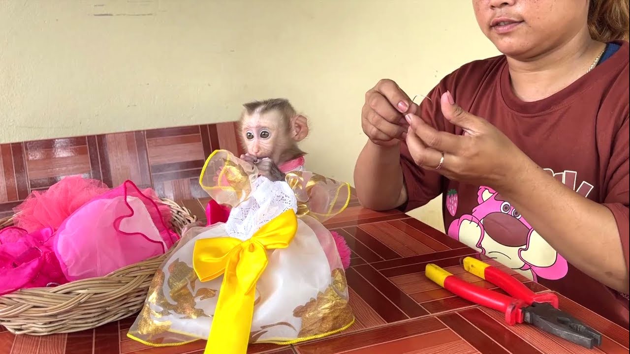 Baby Jessa Show Cute News Cloth - Mom Exudes Talented! - YouTube