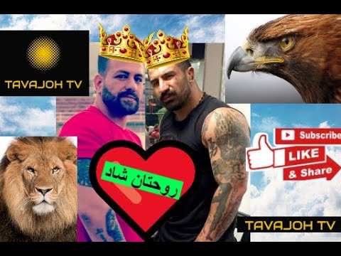 Reza Kord - Shekarchi❤️🦁👑🦅❤️اهنگ شکارچی رضا کرد تقدیم به وحید مرادی و بهروز حاجیلو