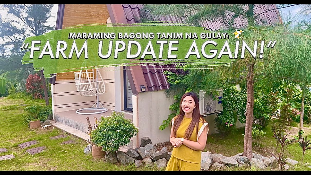 "FARM UPDATE AGAIN!🏡🌱 (Maraming bagong tanim na gulay!)🫛🎃🥒” | Anghet ...