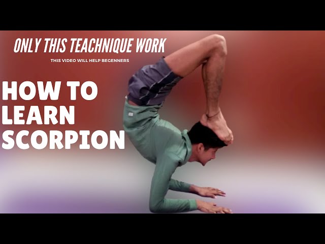 Scorpion Pose With Wall