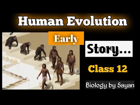 Human Evolution, 1st part, class 12, NEET, - YouTube