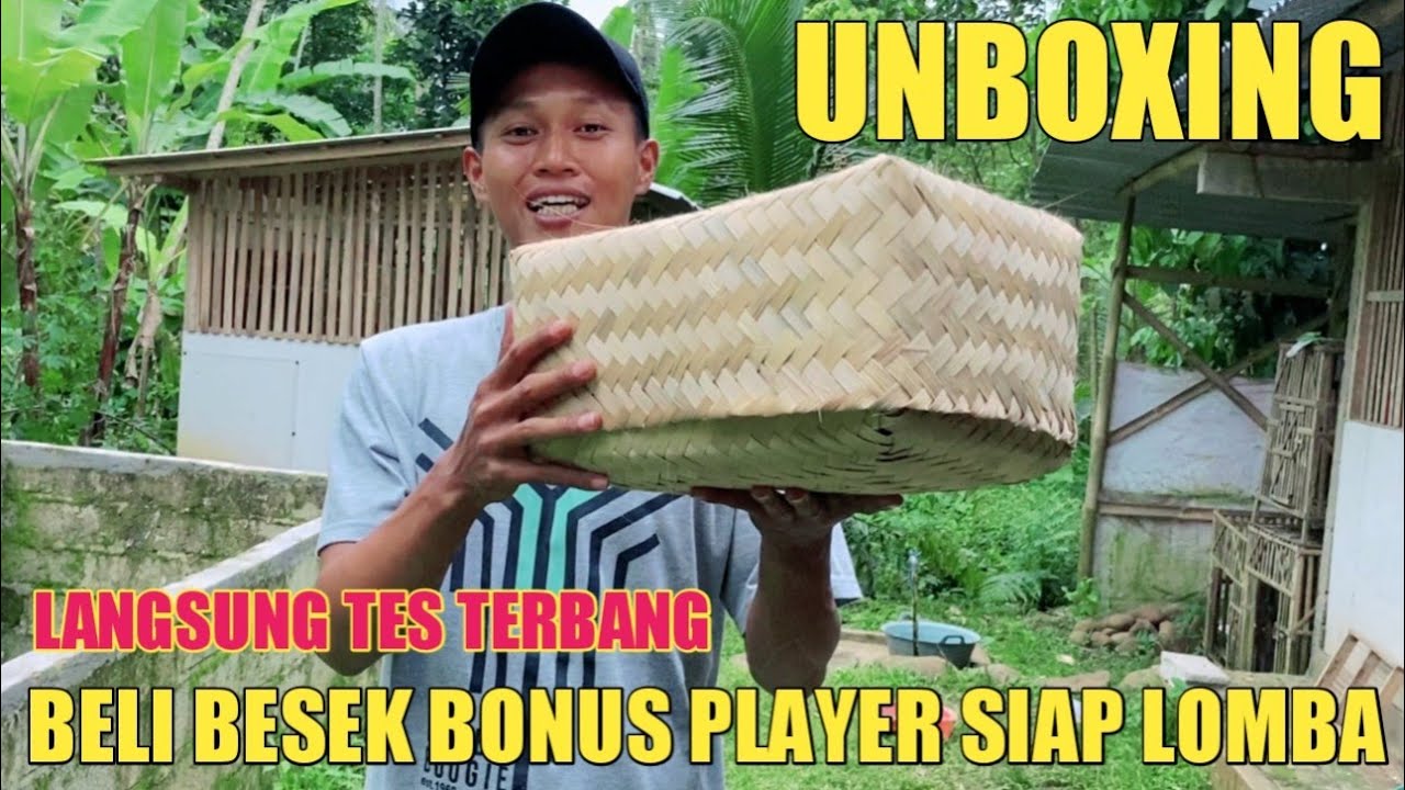 CUMA BELI BESEK DAPET BONUS MERPATI PLAYER SIAP LOMBA - YouTube