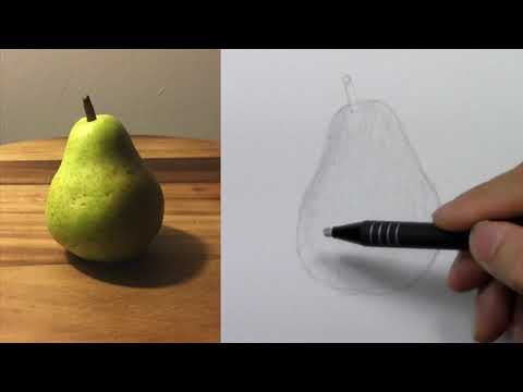 How To Draw And Shade a Pear - TimeLapse - YouTube