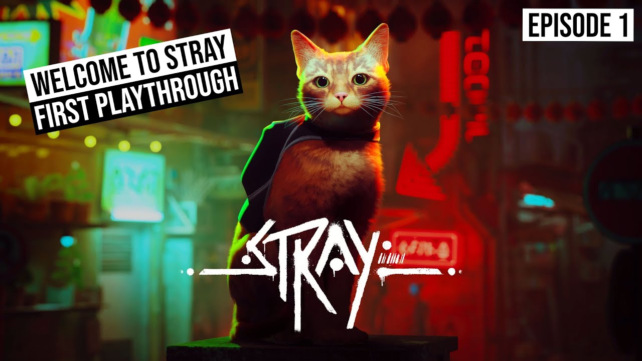 Welcome to Stray - Stray First Playthrough - Episode 1 - YouTube