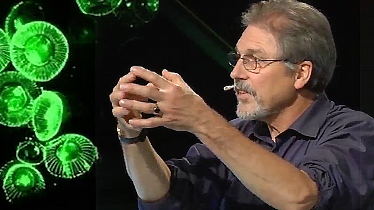 'Leaves & Lasers' With Professor Chris Hawes | Nature Live Talk ...