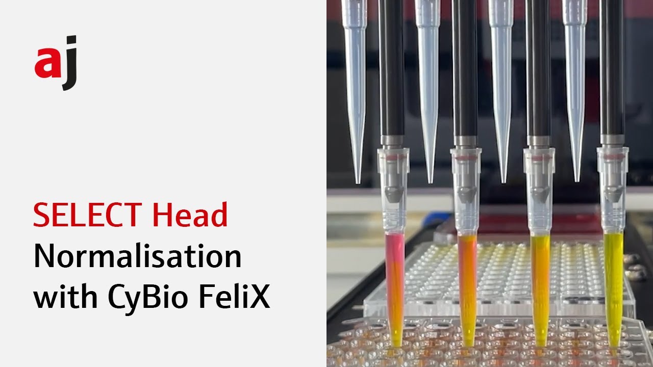 SELECT Head Normalisation with CyBio FeliX - YouTube