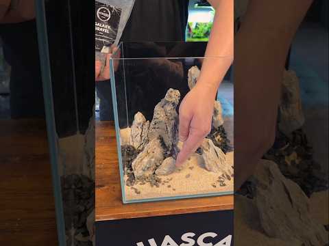 Nano cube aquarium scaped by James, take it home 😍