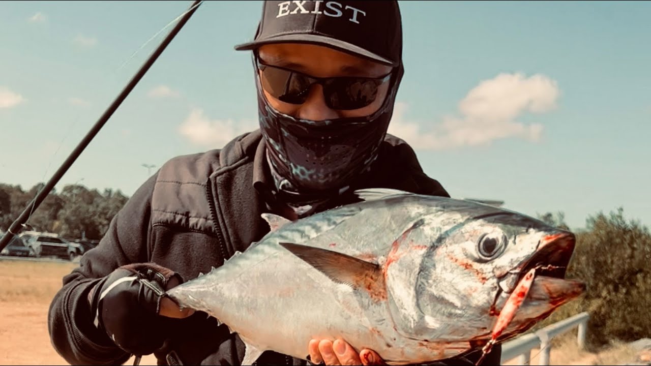 Landbased 70cm Mack Tuna Botany Bay with small jig - YouTube