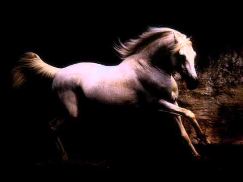 يا روايح الزمن الجميل _هدى عمار.