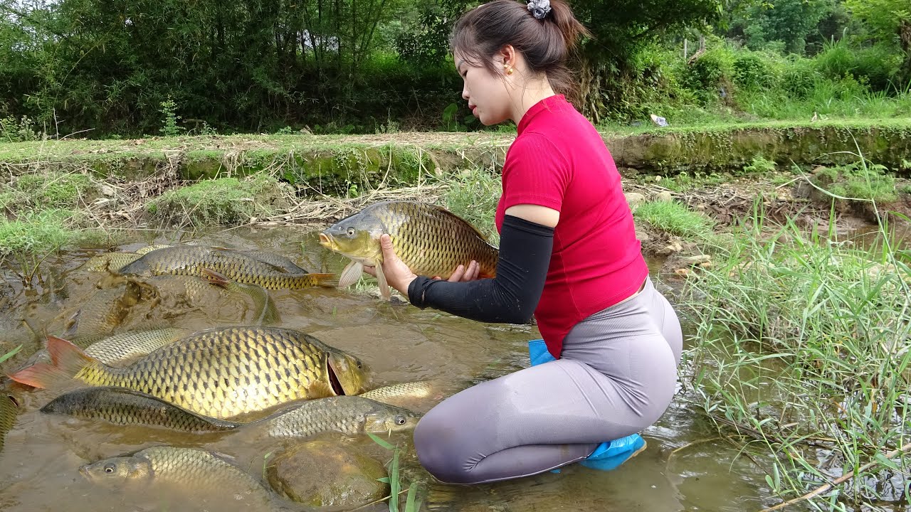 Amazing Fishing - Pumping Water Out of Natural Puddles During the Dry ...