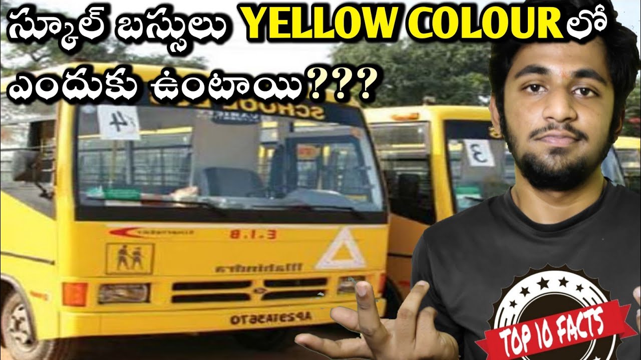 why school buses are in yellow colour | TOP 10 INTERESTING FACTS ...