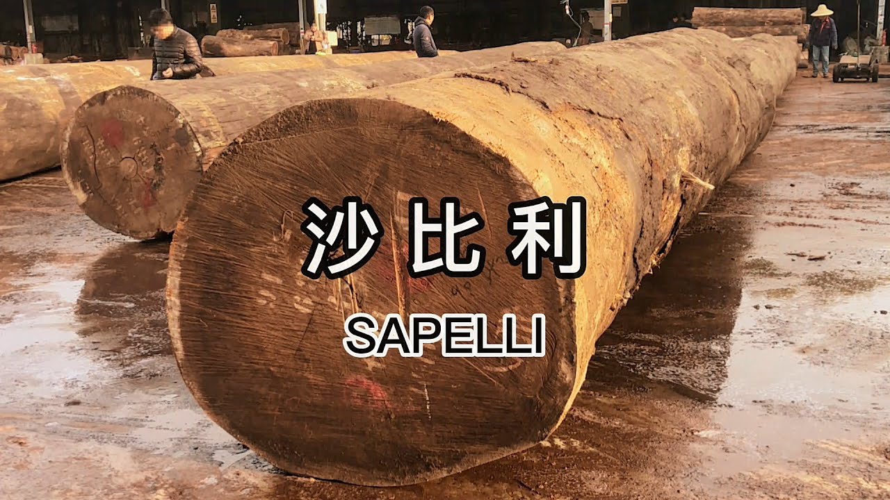 一分钟了解沙比利 Wood Knowledge: An Introduction To Sapele（SAPELLI） - YouTube