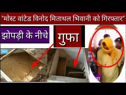 जानिए किस गुफा में रहता था मोस्ट वांटेड विनोद मिताथल भिवानी ।। most ...