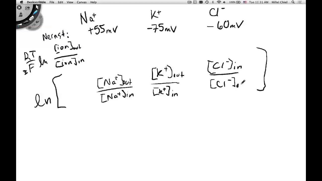 Constant Field Equation - YouTube