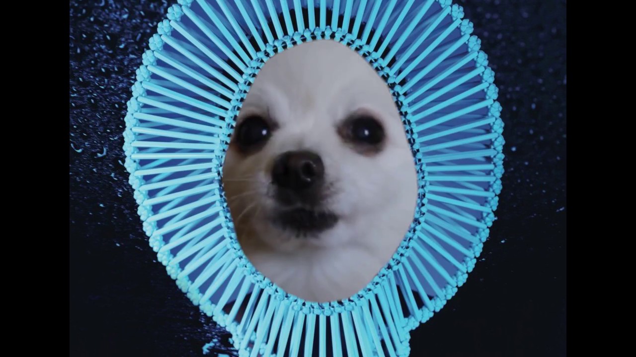 REDBONE MEME feat. GABE THE DOG - YouTube
