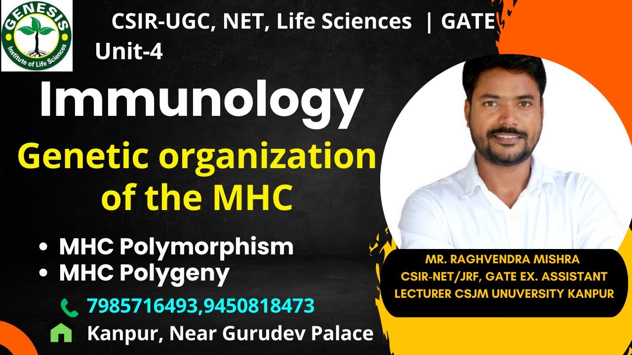 Genetic organization of the MHC | MHC Polymorphism & MHC Polygeny ...
