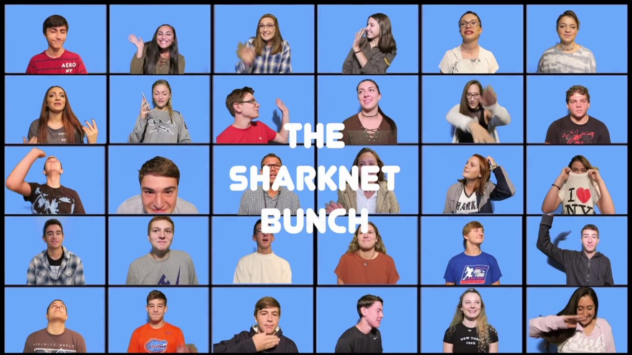 ESM: Shark Net News - 9/27/16 - YouTube