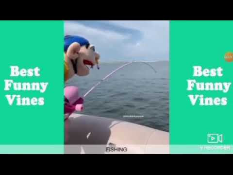 Jeffy catches shark puppet - YouTube