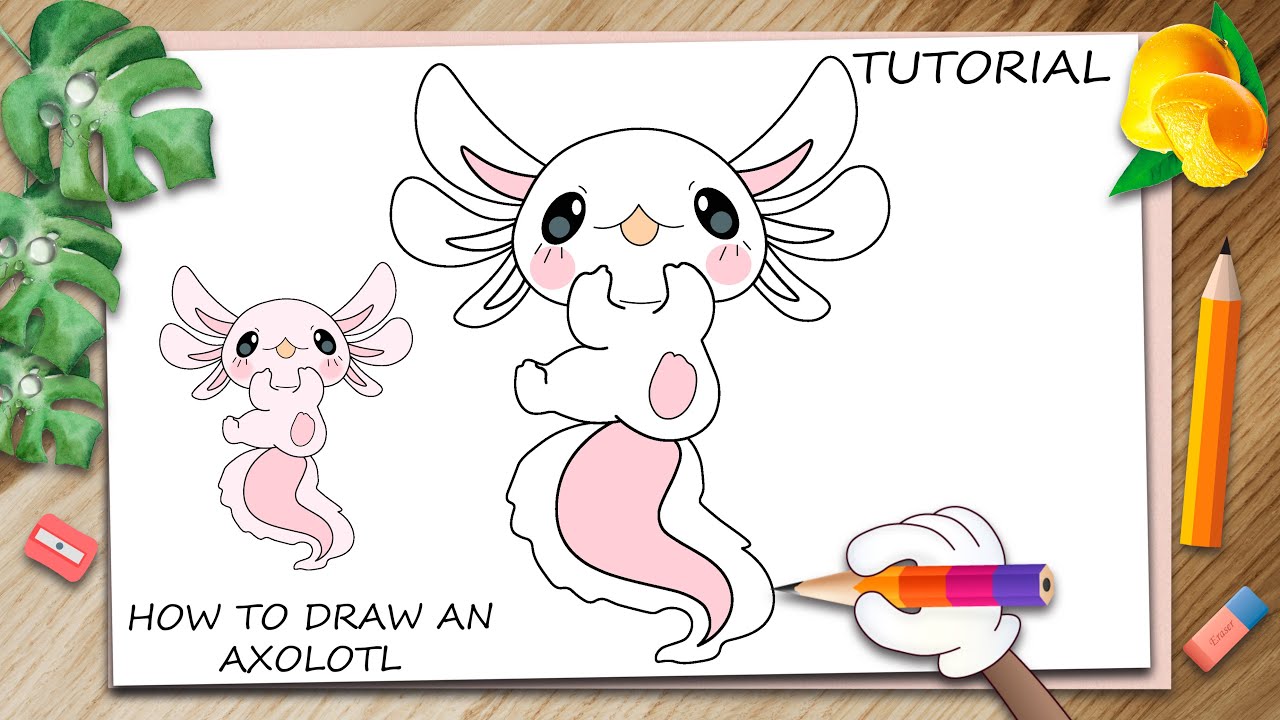 HOW TO DRAW AN AXOLOTL - YouTube