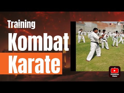 Karate Training Basics for Beginners: Master the Fundamentals! - YouTube