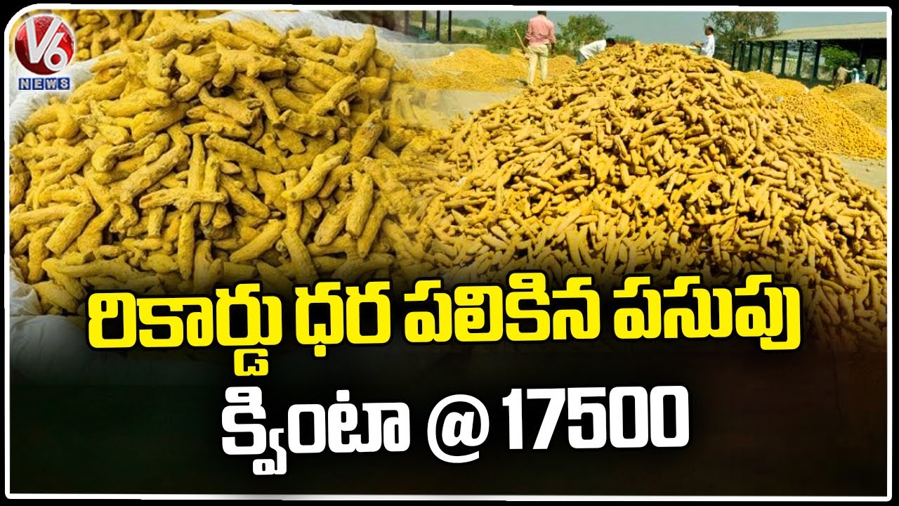Turmeric Rate Increasing Day By Day After Announcing Turmeric Board ...
