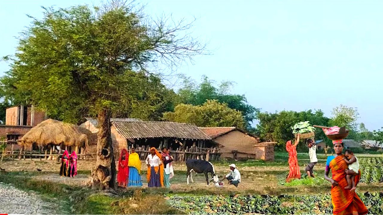 Beautiful Village Life Style In India {} Rural Life In UP {} Village ...