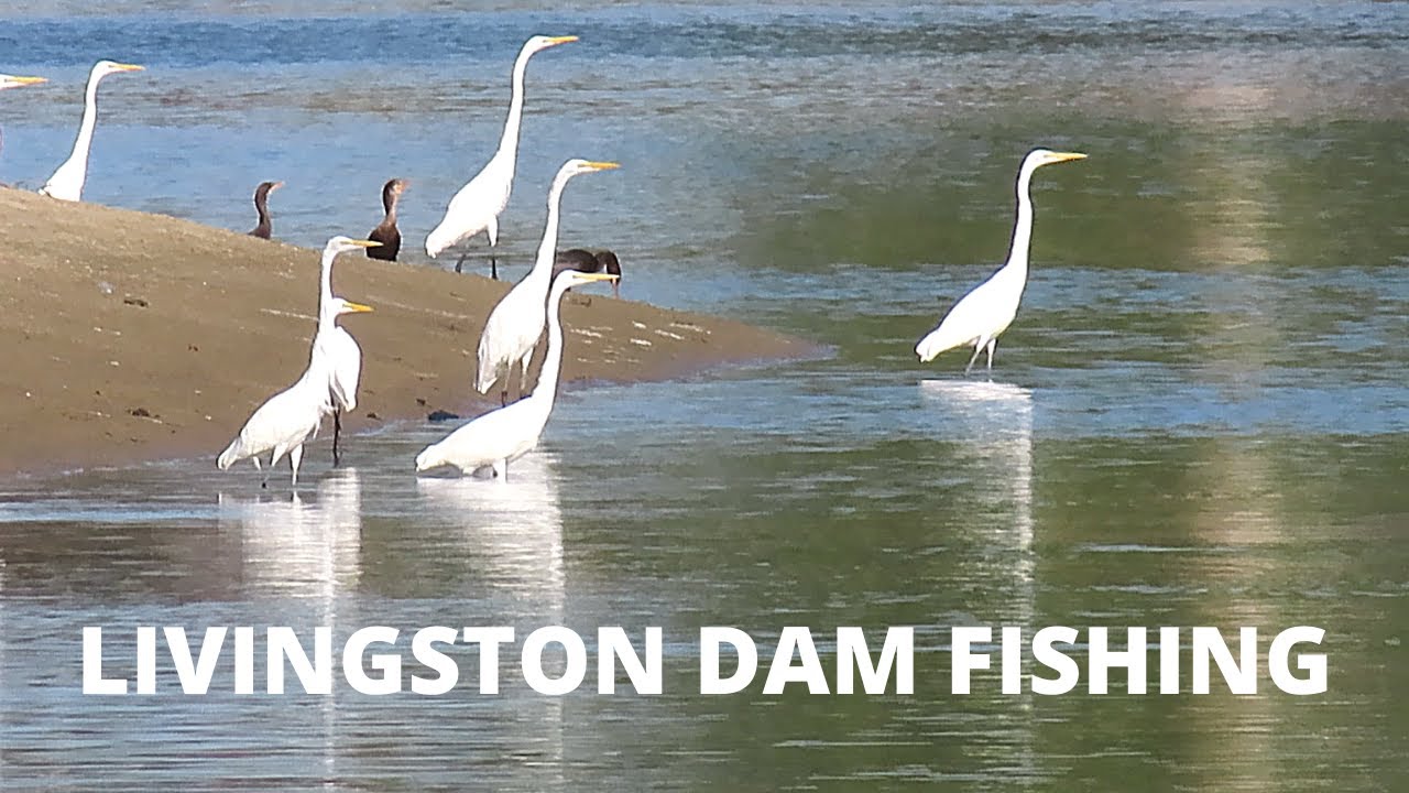 lake Livingston Dam Fishing - YouTube