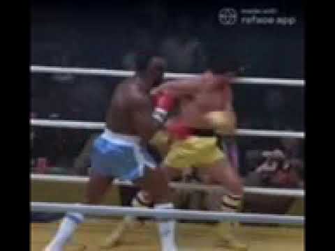 Rocky Gets Busted up by Ernie T. - Courtesy of Trainer Dale Schotta ...