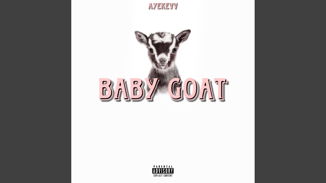 Baby Goat - YouTube