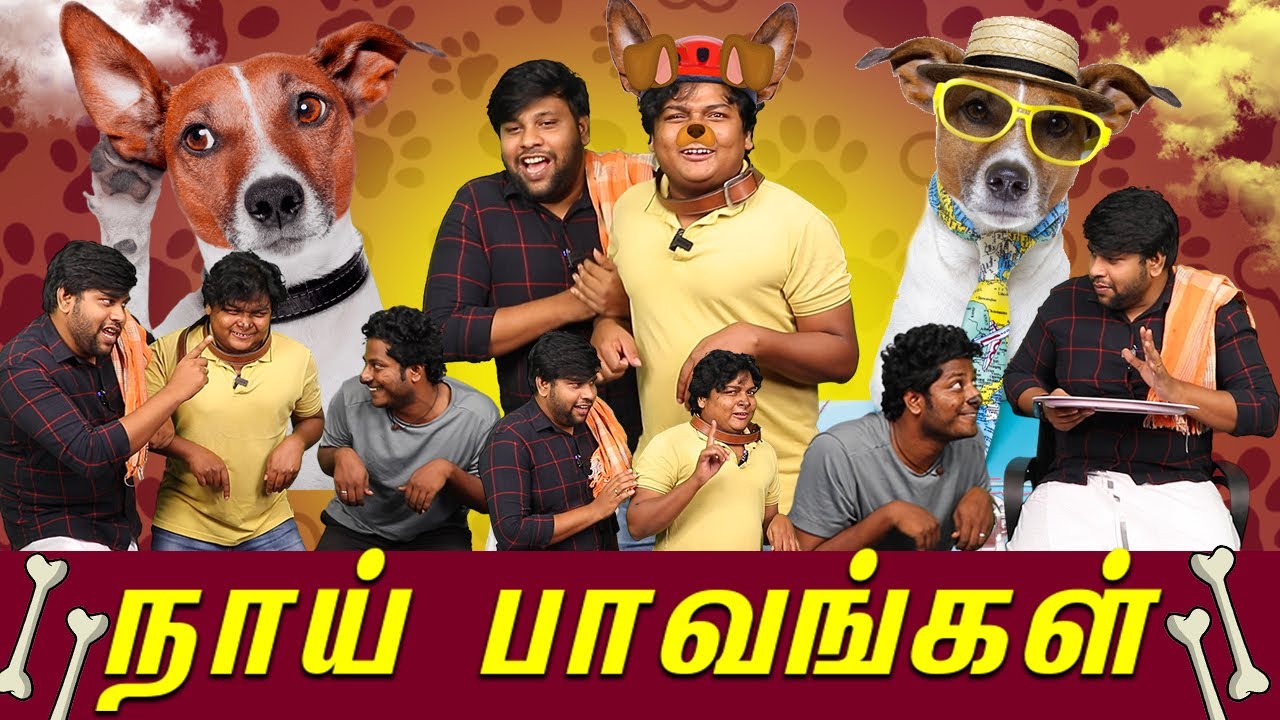 Naai Paavangal | Parithabangal Realtime YouTube Live View Counter 🔥 ...