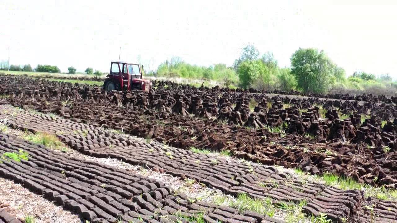Turf-Turning at Castlerea, Ireland. - YouTube