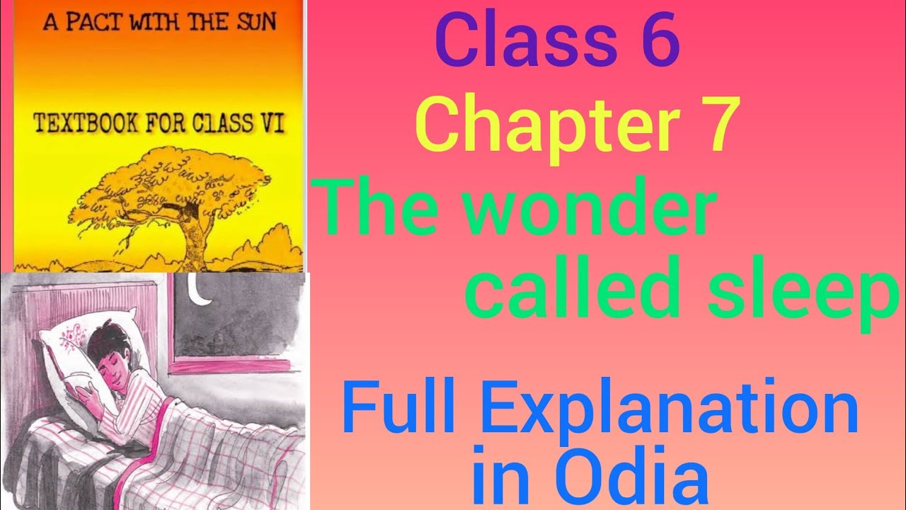 Ncert Class 6th Chapter 7 The Wonder Called Sleep YouTube ncert-class-6th-chapter-7-the-wonder-called-sleep-youtube