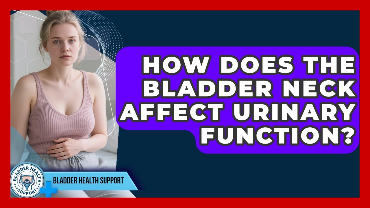 How Does The Bladder Neck Affect Urinary Function? - Bladder Health ...