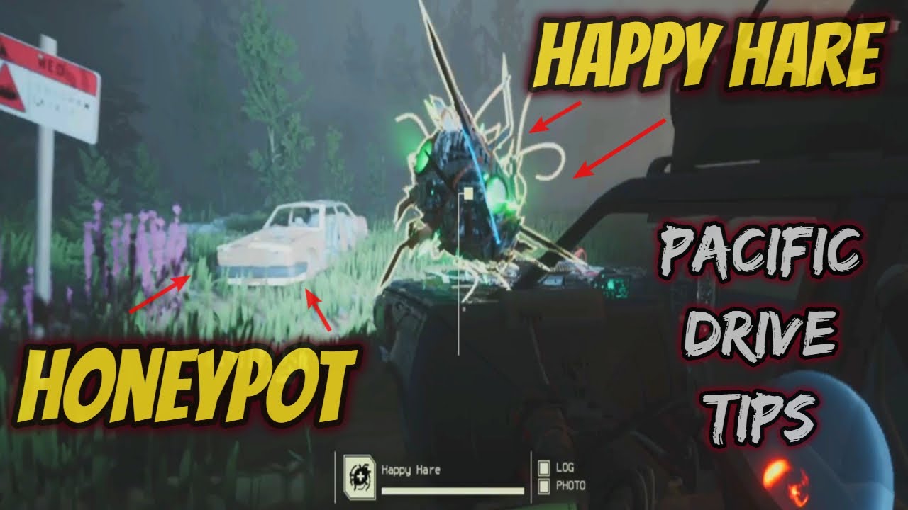 Pacific Drive How To Find Honeypot - YouTube