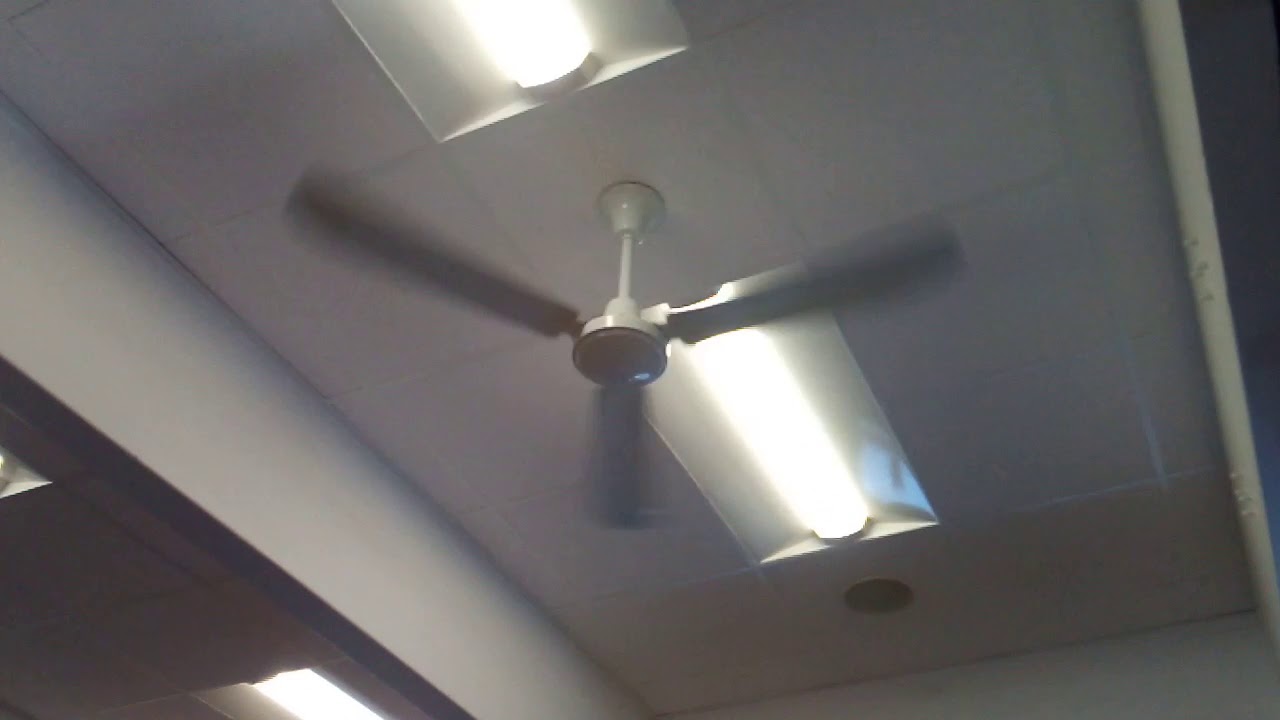 Library Fans - YouTube