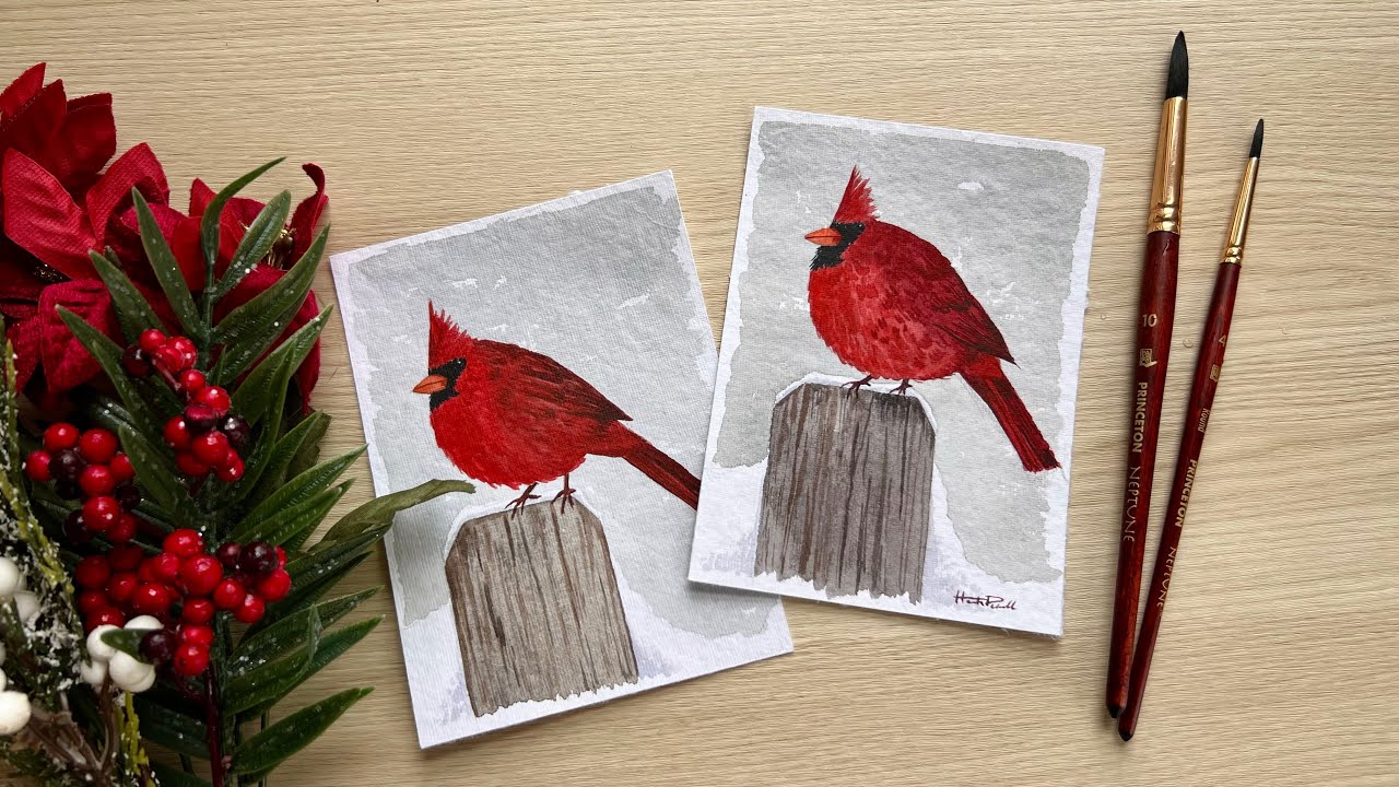 Paint a festive watercolor cardinal with me | step by step, beginner ...