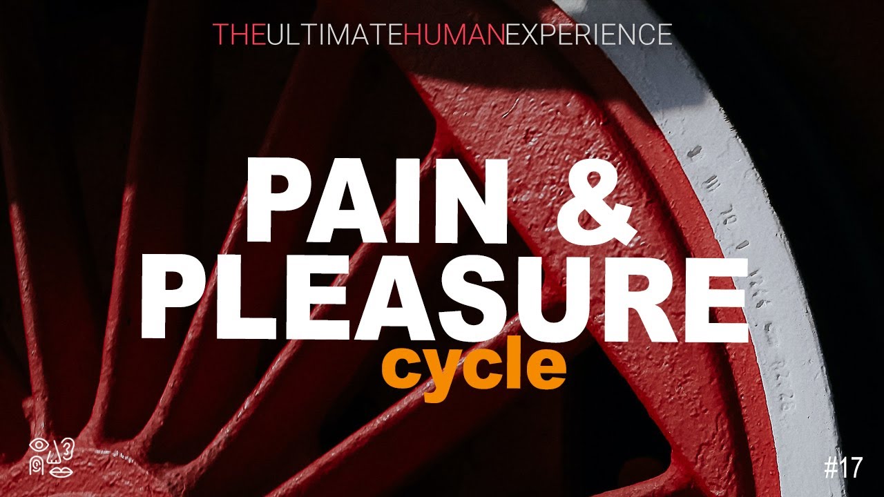 The Ultimate Human Experience | #17 (The Pain & Pleasure Cycle) - YouTube