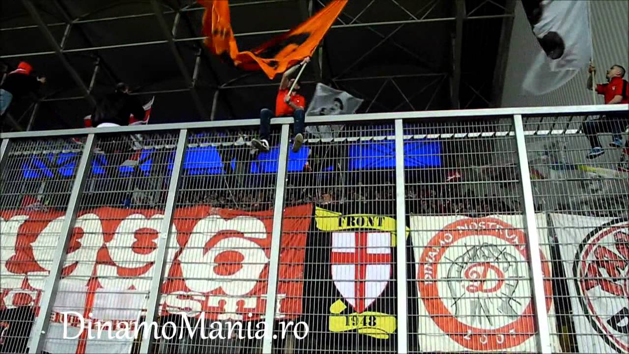 Cainii rosii la Petrolul - Dinamo 2-2 - YouTube