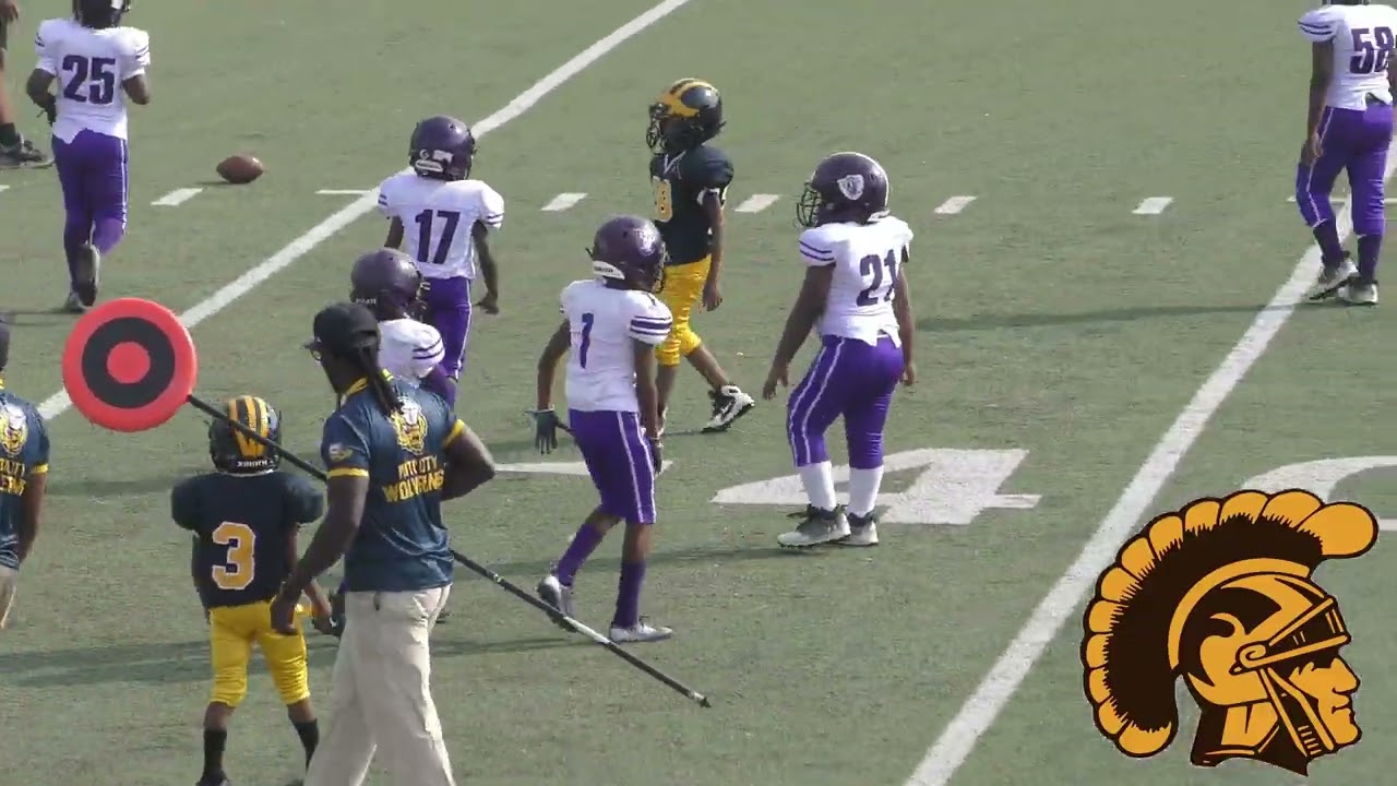 Eastside Raiders vs. Motor City Wolverines (8U) Game Highlights (9-17 ...