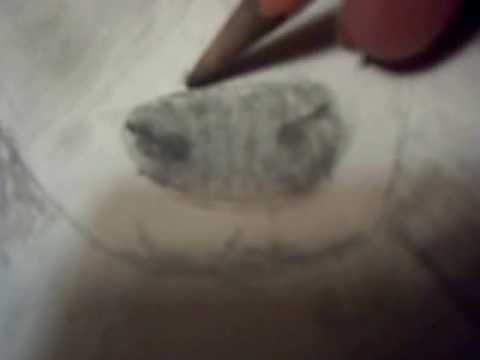 my 4th draw, i explicate how to draw a shetland sheepdog - YouTube