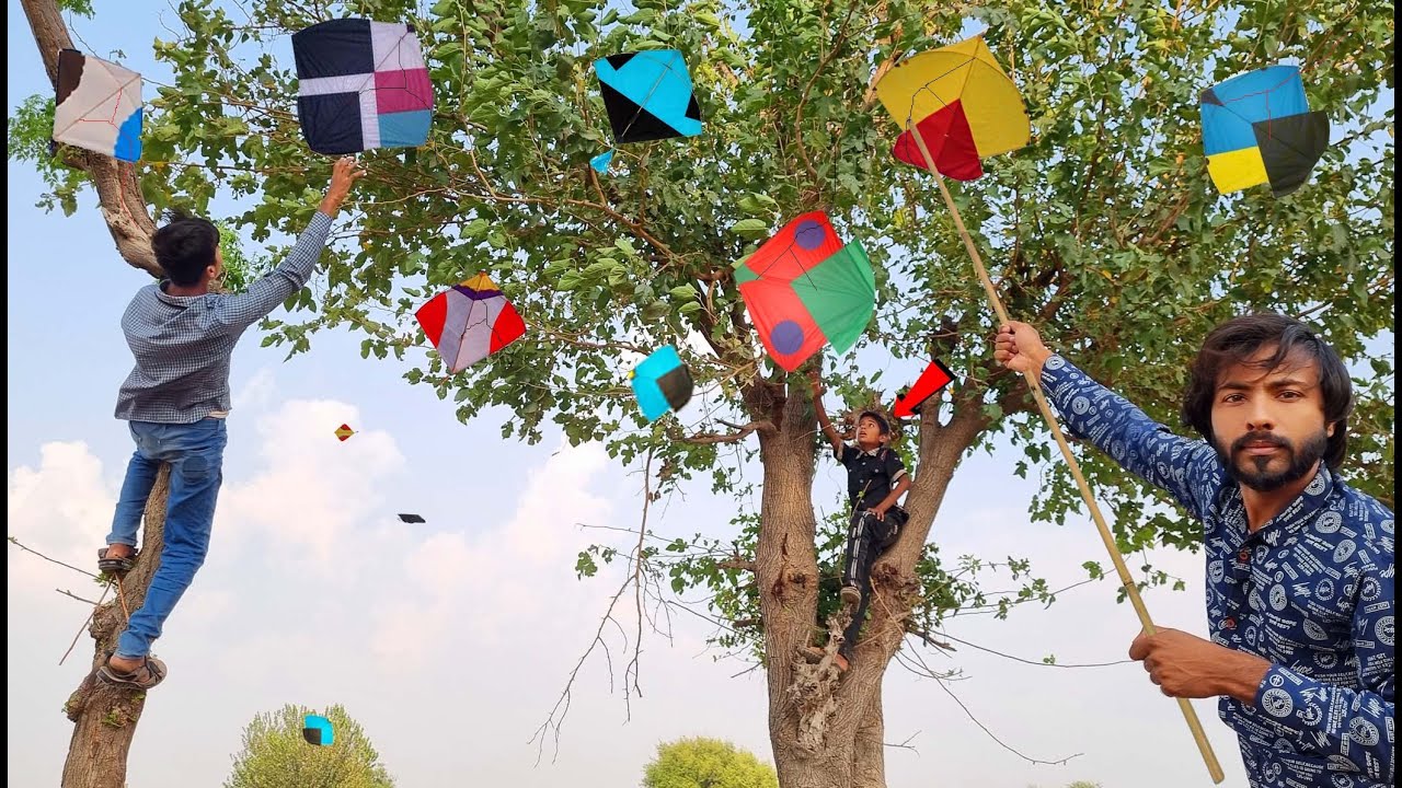 Caught kite With Trees | Kite Fight - YouTube