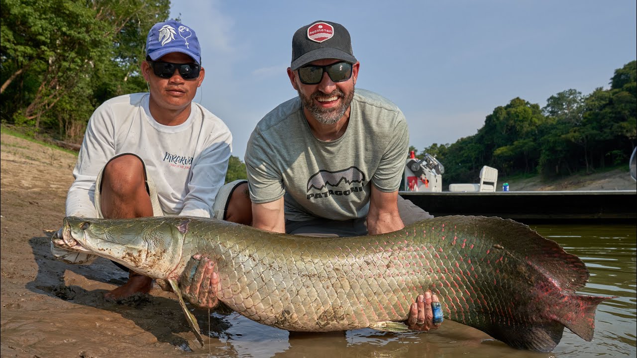 Arapaima on the Fly - YouTube