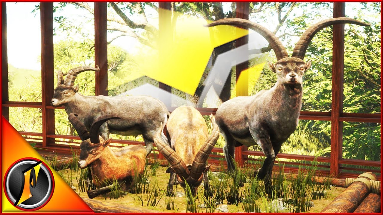 Diamond Ibex Grand Slam for Our New Lodge! - YouTube