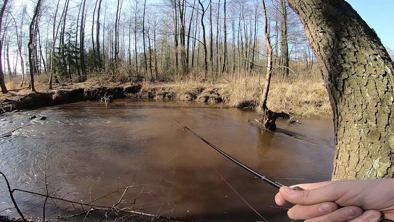 Rzeka Radomka - odcinek górski - Pstrągi - YouTube