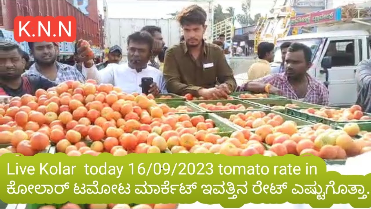 Live Kolar today 16/09/2023 tomato rate in ಕೋಲಾರ್ ಟಮೋಟ ಮಾರ್ಕೆಟ್ ಇವತ್ತಿನ ...