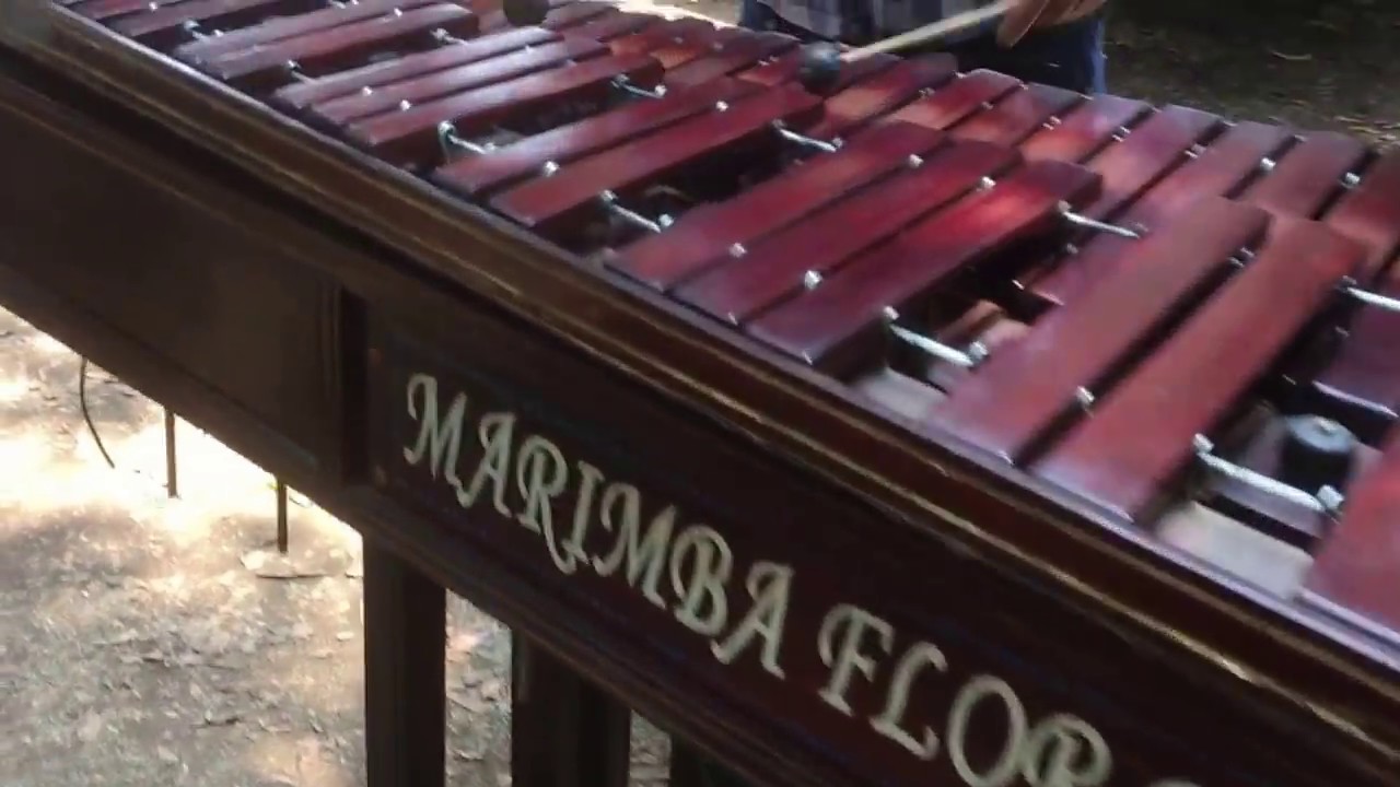 Marimba Flor de Dalia - YouTube
