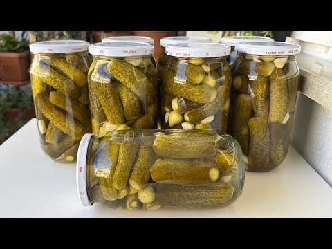 KÜTÜR KÜTÜR Kornişon Turşu 🤌🥒Sıcak Suyla Salatalık Turşusu Nasıl yapılır 💯
