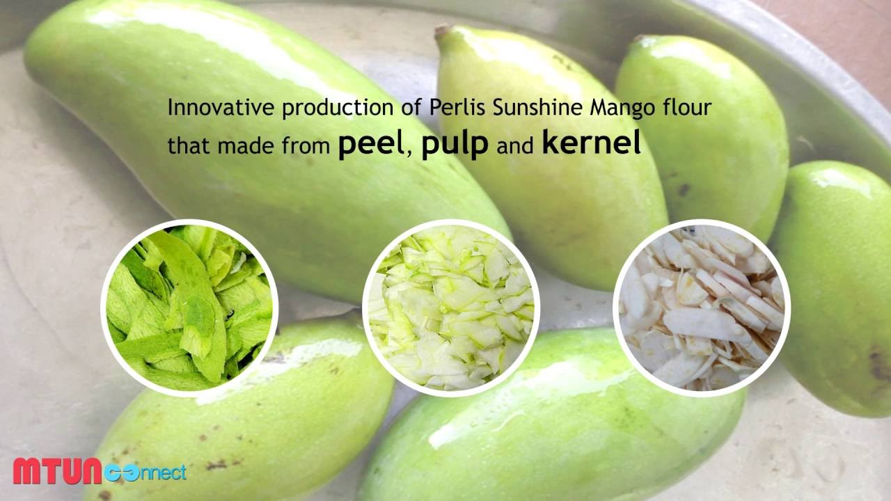 Mango Peel Powder - YouTube