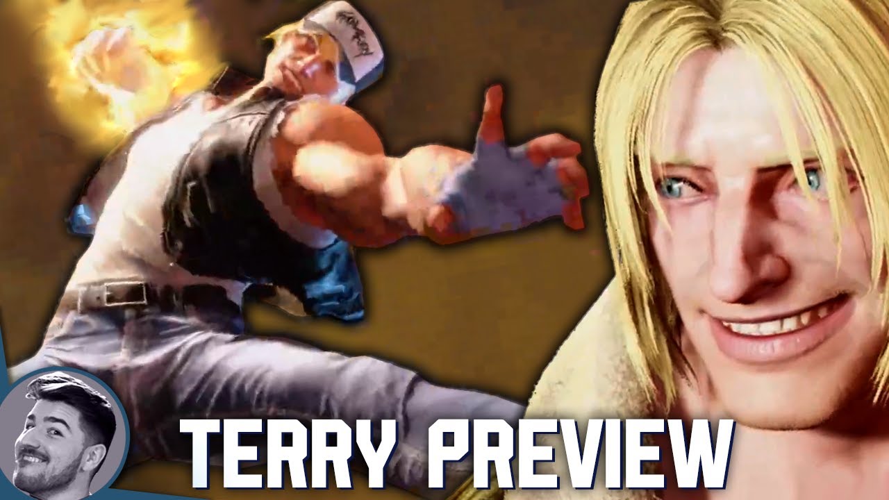 They Put a Lot of Love into Making this Character (Terry Gameplay ...