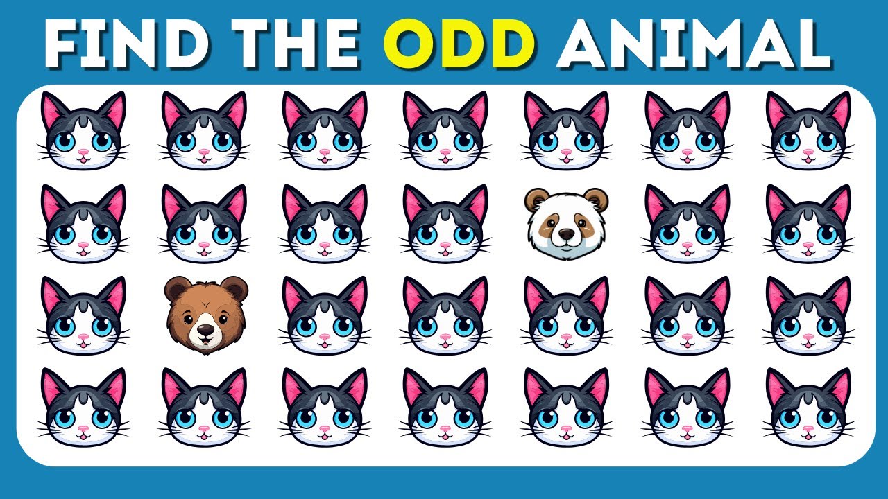 Find the ODD One Out - Animals Edition 🐵🐶🐱 Ultimate Easy, Medium, Hard ...